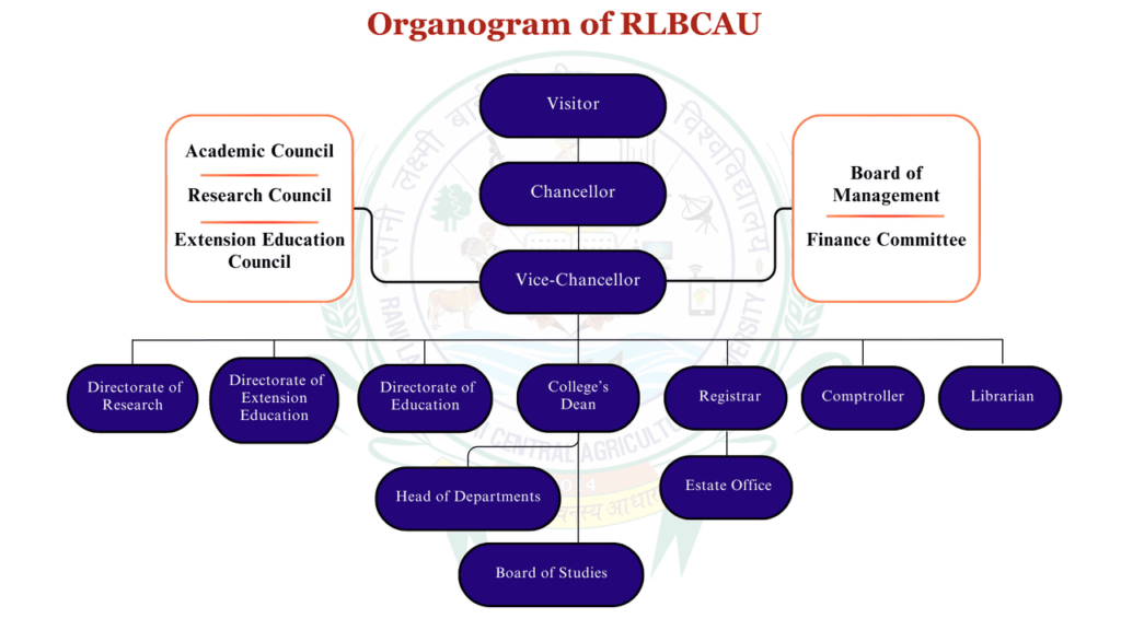 Organisation Chart - Rani Lakshmi Bai Central Agricultural University ...